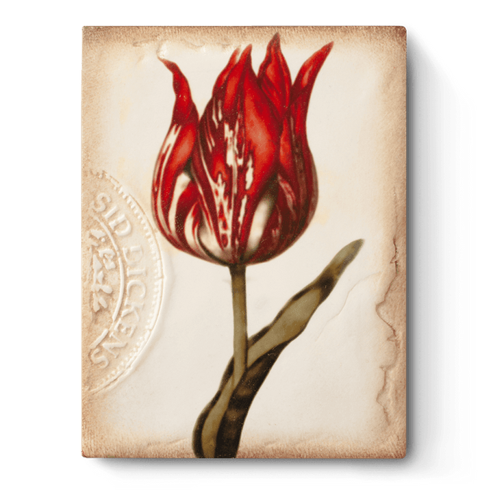 Sid Dickens — Treasured Accents